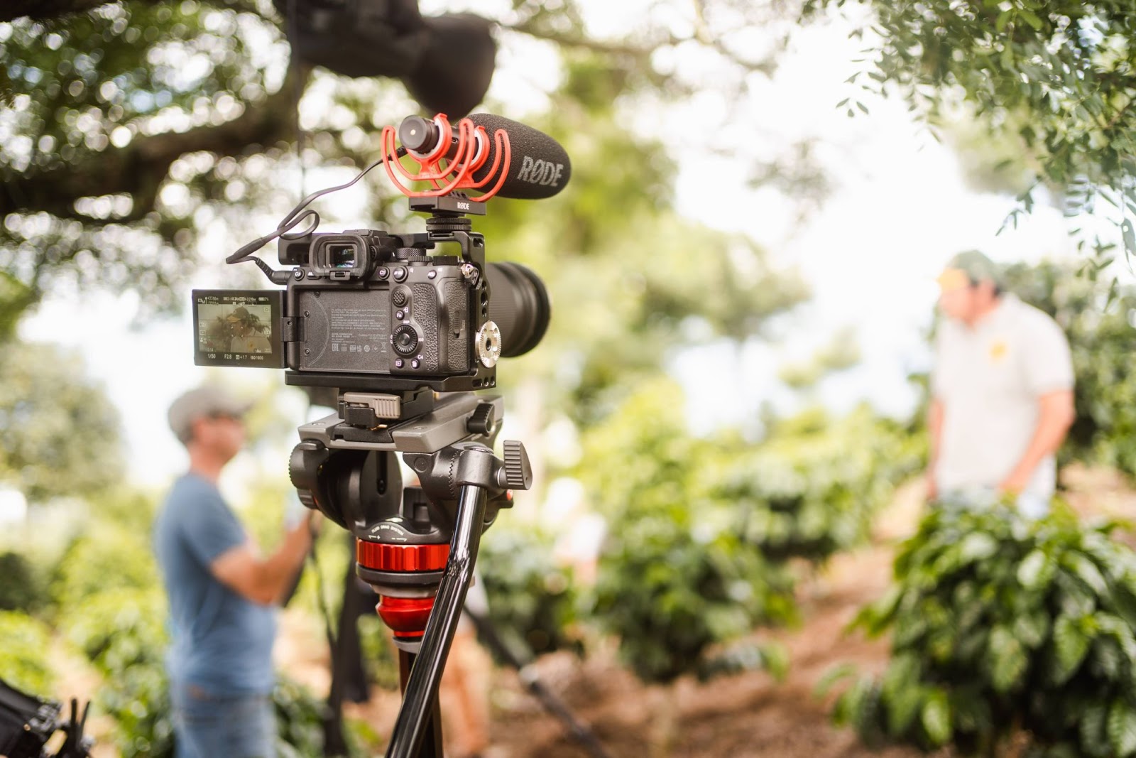 Why Branded Nonfiction Could Be the Future of Advertising - 1893 Brand ...